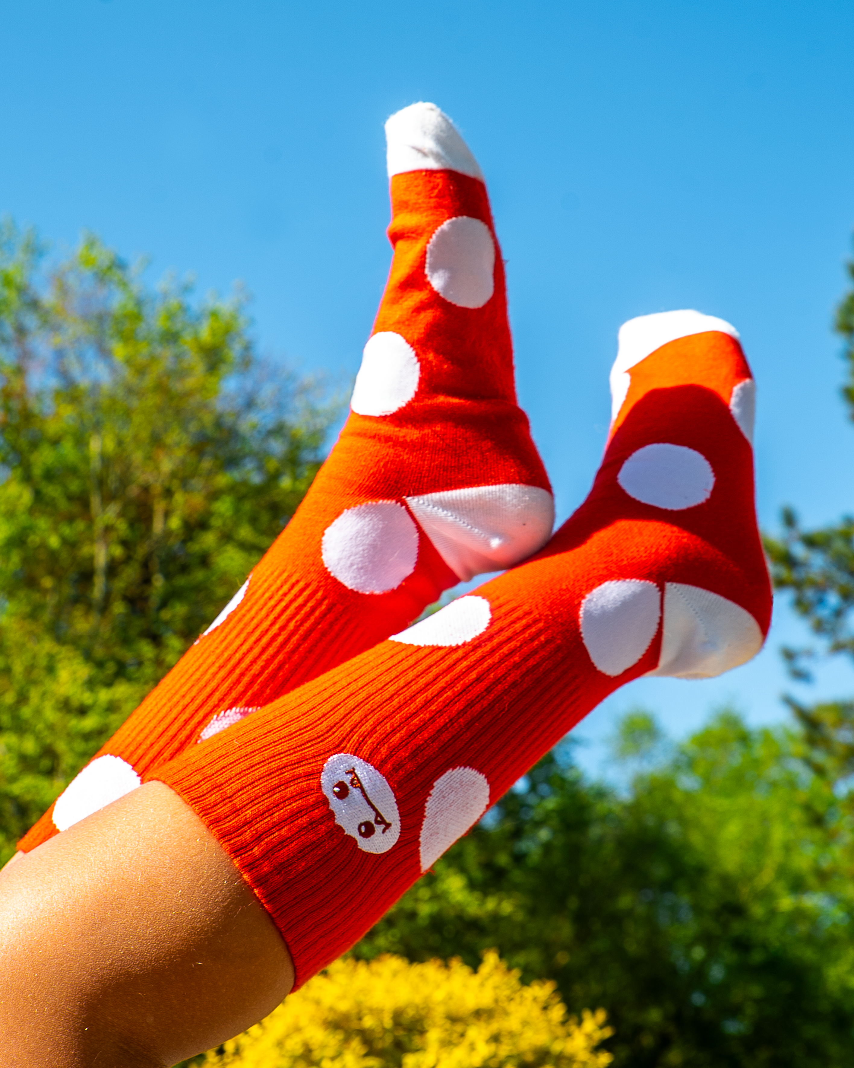 Limited Edition Marshall Chomp Socks By Mardeluna – Abominable Toys
